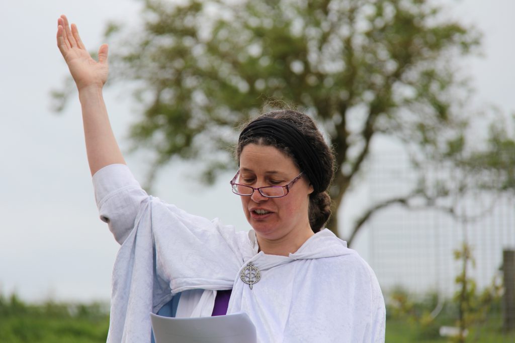 Gallery - The Cornovii Grove